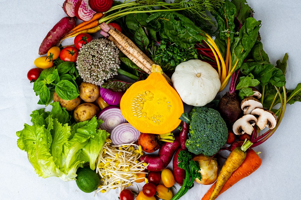 NOHEA｜COREZO(コレゾ) これぞ北陸のいいモノ・いいコト発掘サイト